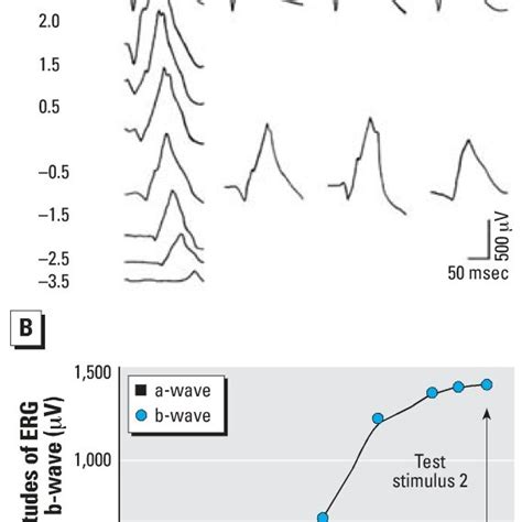 Single Flash Scotopic Erg Waveforms Of Adult Control And Gle Rats A Download Scientific