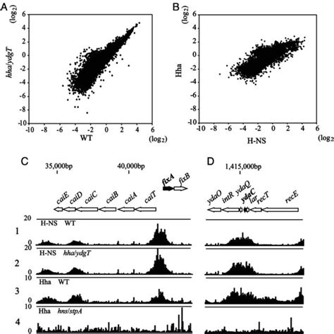 H Ns Binding Signals For Genes Up Regulated In The Hns Stpa Mutant Download Scientific Diagram
