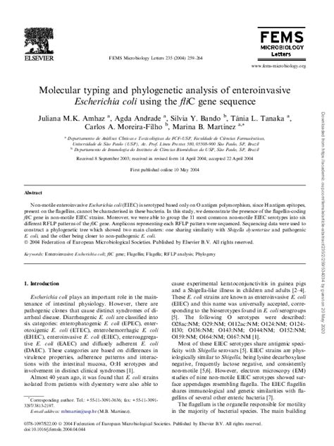 Pdf Molecular Typing And Phylogenetic Analysis Of Enteroinvasive