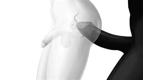 Free Tight Ass Shemale Porn Videos Xhamster