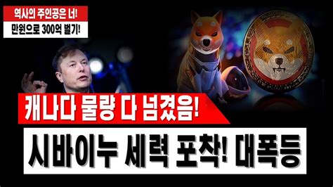 시바이누 세력들의 움직임 포착 시바이누 대폭등 예고 이제 절대 팔지 마세요 여기까지 갑니다 Youtube