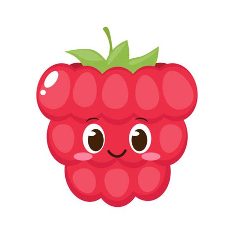 Raspberry Smiley Face Illustrations Royalty Free Vector Graphics