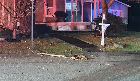 Strong Winds Cause Multiple Tree Power Line Issues Yourdailylocal Com