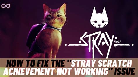 Easy Ways To Fix Stray Scratch Achievement Not Working Aspartin