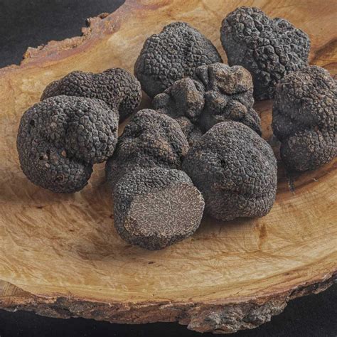 Truffles Fungi