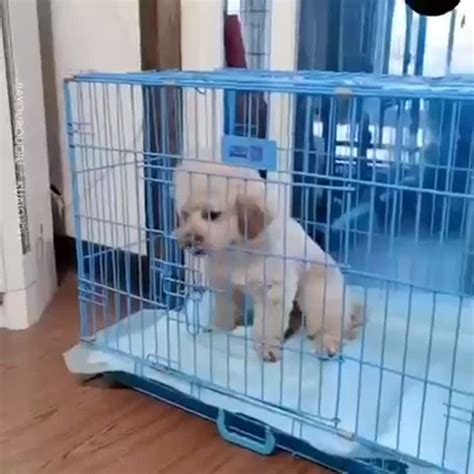 Ravi Narayanan P R On Linkedin Being Happy Is Your Choice Most People