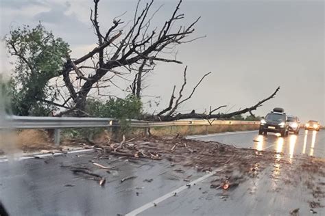 Дърво се скърши на Околовръстното на Пловдив