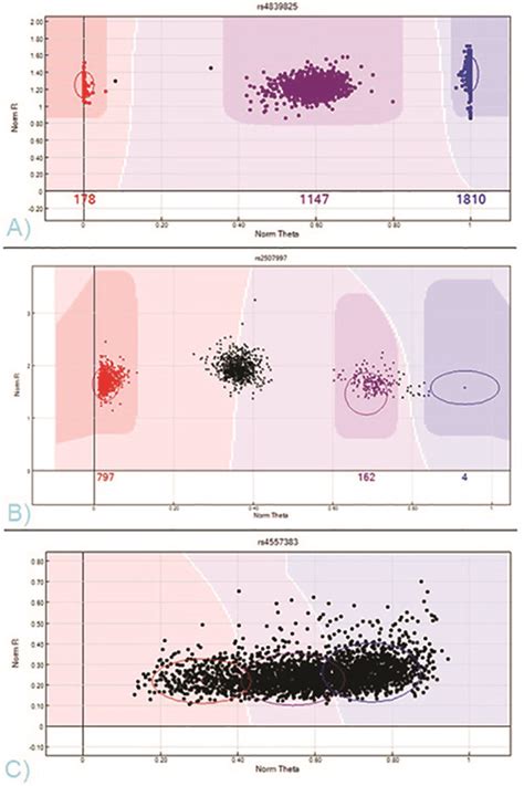 Infinium Assay For Large Scale Snp Genotyping Applications