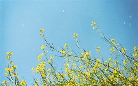 Introduction To Spring Data Jpa — Part 4 Bidirectional One To Many Relations Dzone