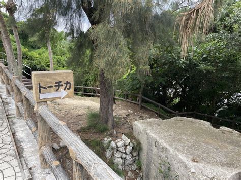 嘉数高台公園かかずたかだい 宜野湾市観光振興協会