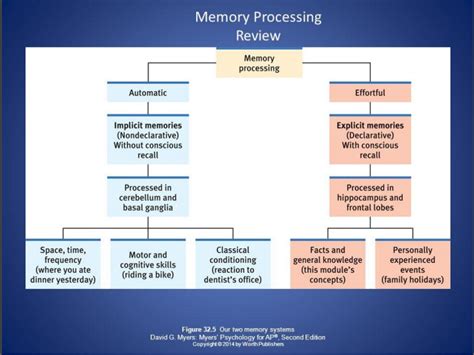 Memory Diagram Quizlet
