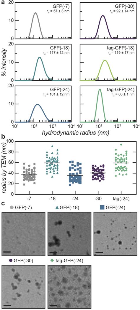 Effect Of Protein Charge On The Formation Of Polyelectrolyte Complex Download Scientific