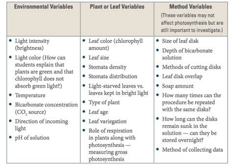 PHOTOSYNTHESIS LAB BY Corinne Wessels