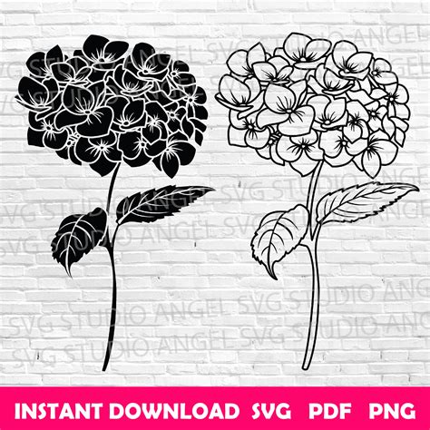 Hydrangea Svg Hydrangea Cricut Svg Hydrangea Clipart Hydrangea Vector