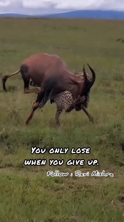 Ravi Mishra On Linkedin Success Share Reshare Whatinspiresme Linkedin Inspiration