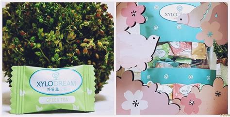 자일로드림 100 자일리톨 사탕 5가지맛 다 먹어봄 네이버 블로그