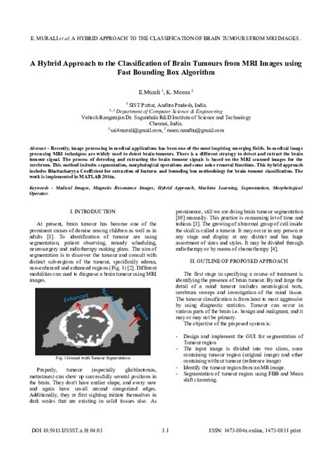 Pdf A Hybrid Approach To The Classification Of Brain Tumours From Mri Images Using Fast