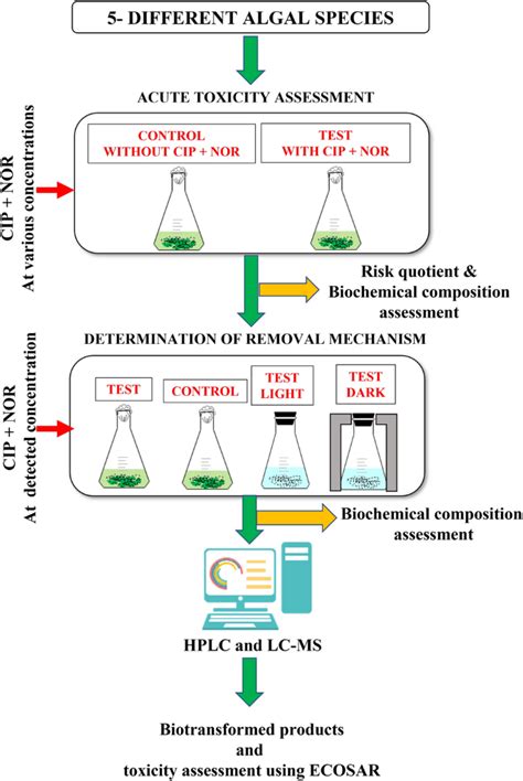 An Investigation On Removal Of Ciprofloxacin And Norfloxacin By Phycoremediation With An
