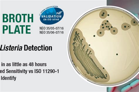 Neogen Develops Sensitive Solution To Detect Listeria Spp L Mono Food And Drink Technology