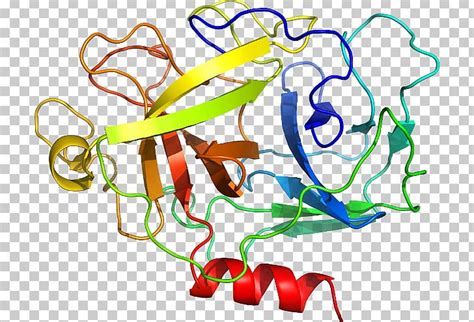 Mst1 Structure Kringle Domain Gene Hepatocyte Growth Factor Png Clipart Area Artwork Crystal