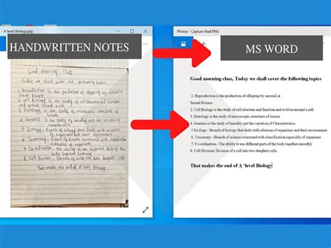 Professional Ms Word Editing Creation Formatting And Designing Services Upwork