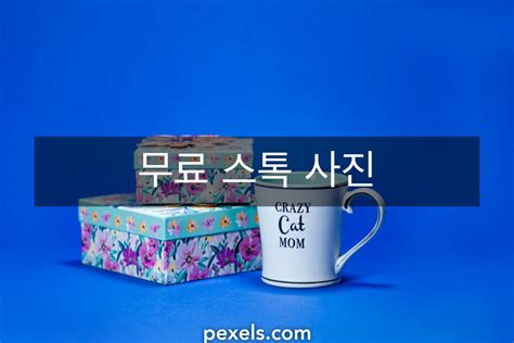 최고의 아줌마 보지를 사진 · 100 무료 다운로드 · Pexels 스톡 사진