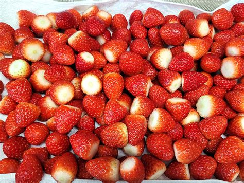 언니네텃밭 텃밭과 꾸러미로 바꾸는 세상 햇딸 꿀크림치즈 선물세트