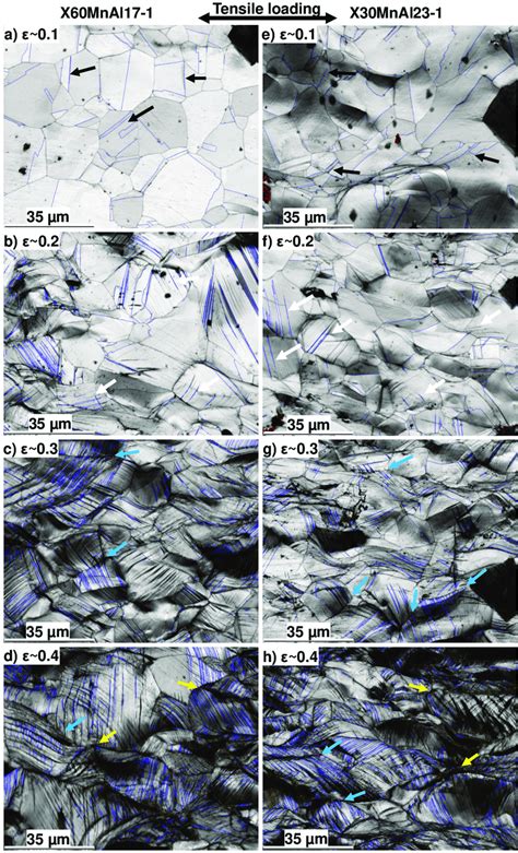 EBSD Image Quality IQ Maps Depicting The Evolution Of Twinning With Download Scientific