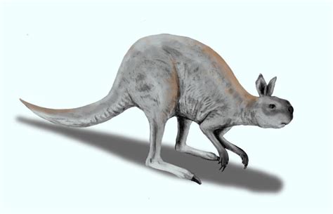 Procoptodon Naturerules1 Wiki Fandom