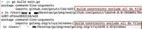 Go语言编译文件踩坑build Constraints Exclude All Go Files In Csdn博客
