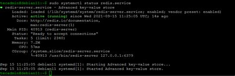 How To Install Redis On Debian 11 Linux Tecadmin
