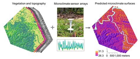 Spatial Ecology And Conservation Smithsonian Environmental Research