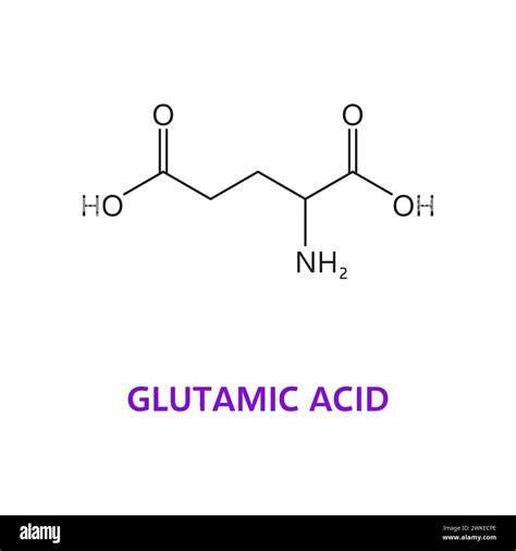 Neurotransmitter Glutamic Acid Chemical Formula And Molecular Structure Vector Molecule
