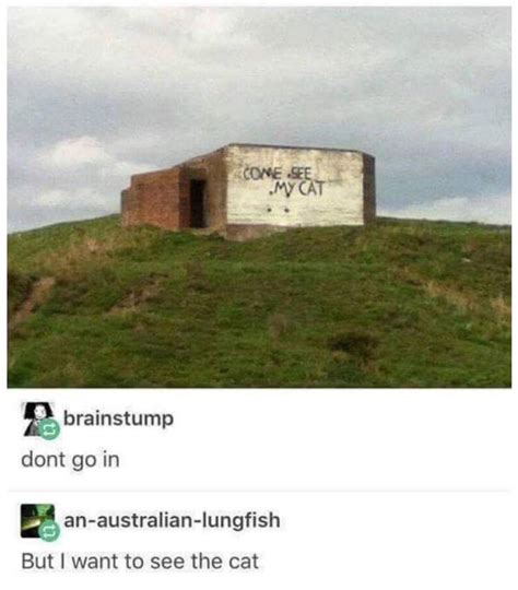 Rust In A Nutshell Rplayrust