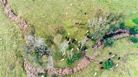 Biosecurity Department Of Primary Industries