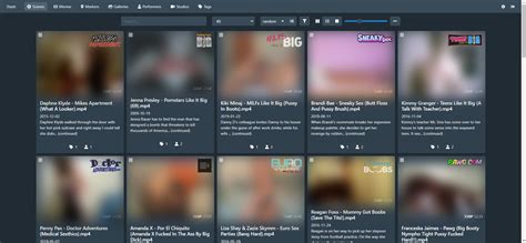 Stash An Organizer For Your Porn