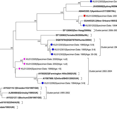 Clustering Of Norovirus Strains Identified In Sporadic Cases Of Download Scientific Diagram