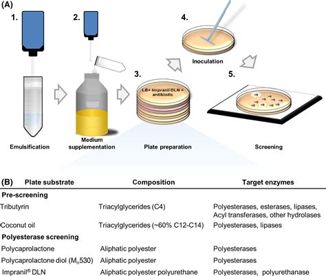Microbial Sampling Method At Stella Bowles Blog