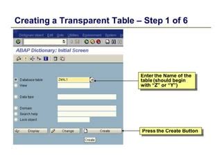 SAP ABAP Data Dictionary PDF