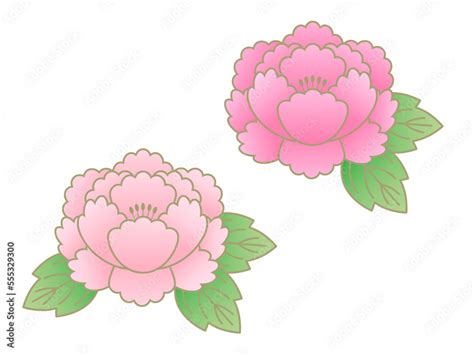 綺麗な牡丹の花のイラスト素材 Stock Vector Adobe Stock