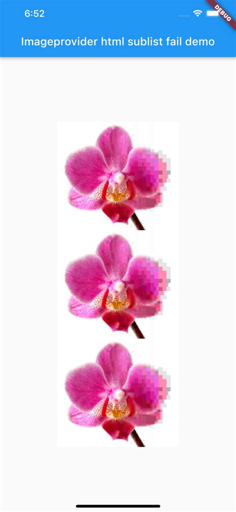 Imageprovider Is Not Working With Html Webrenderer And Image Data From A Sublist · Issue 105306