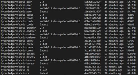 「毕」 2 编译 Fabric 源码 Qanly