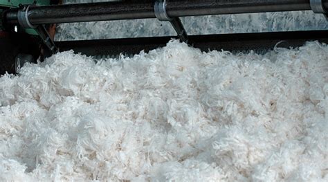 Understanding Microns Creswick Wool