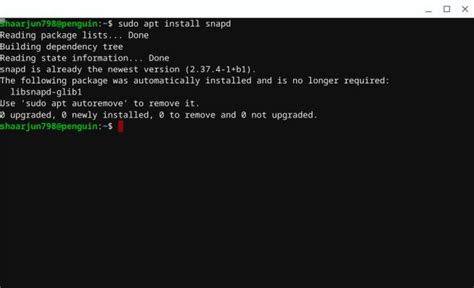 How To Install Flatpak And Snap Store In Linux On Chromebook Beebom