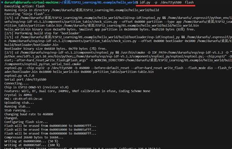 idf开发入门 1 esp32工程结构及构建 duruofu s 个人测试