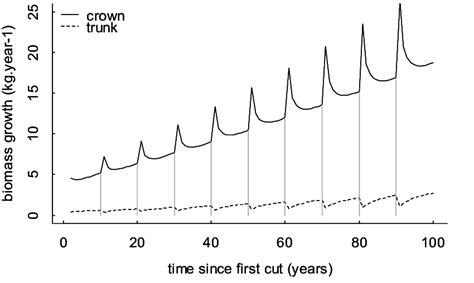 Simulated Growth Rates Of A Pollarded Ash Tree Initial Dbh 10 Cm An