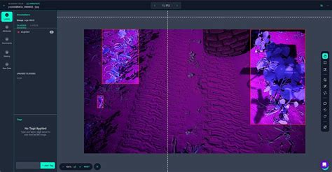 Issue With Polygon Annotations In Workspace 🤝 Community Help Roboflow
