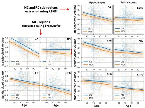 Age Dependent Medial Temporal Lobe Mtl Volumetric Differences Download Scientific Diagram