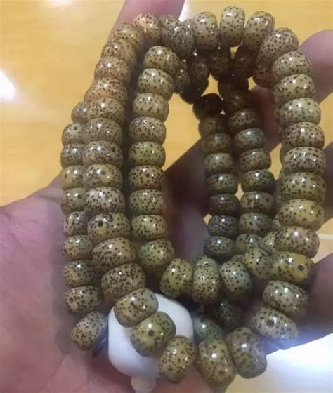 24个月盘玩记录星月菩提变色全过程 包浆