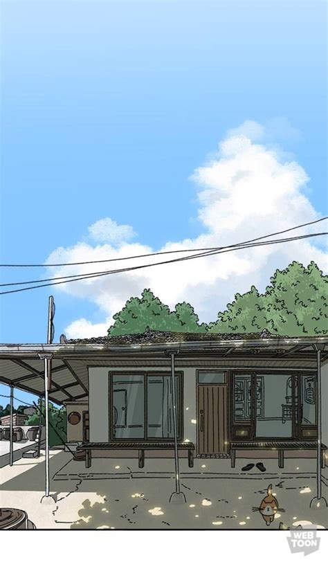 여름 방학 기념 시골 할머니 댁에 내려왔는데 다음날 일어나보니까 인스티즈instiz 이슈 카테고리